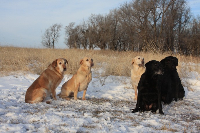 Group Hunting Photos